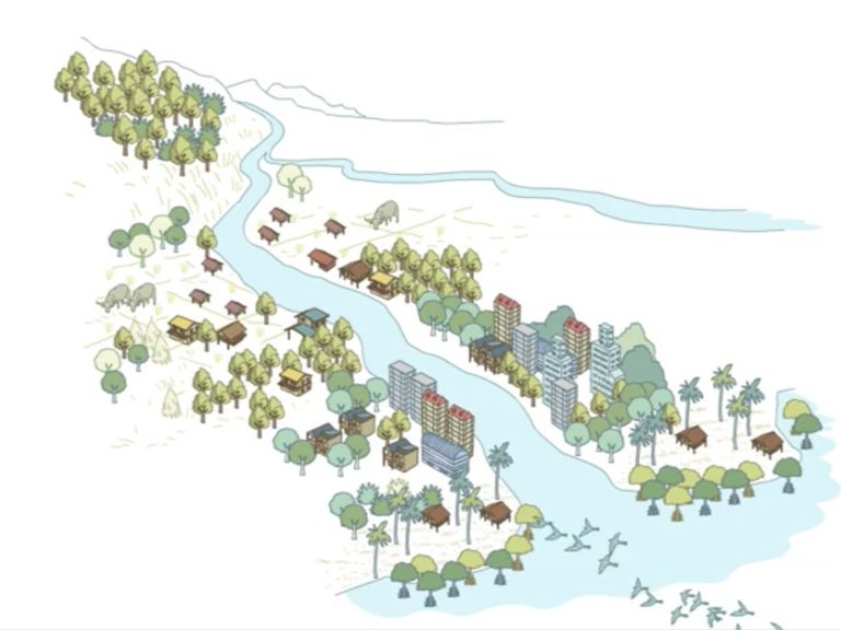 P. Library Design Studio